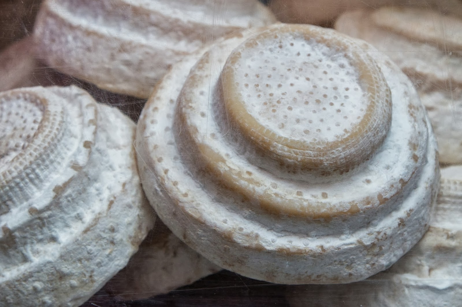 On Location: Bra Cheese Fair in Piedmont, Italy – Cheese Underground