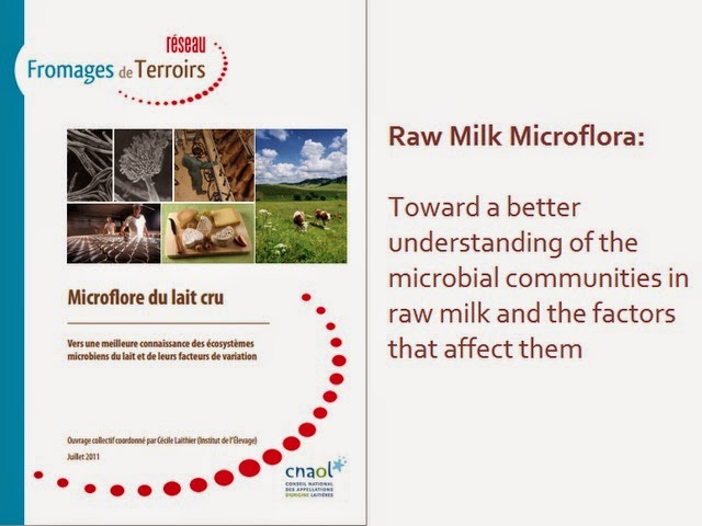 The Next Frontier for Cheese: Raw Milk Microflora – Cheese Underground
